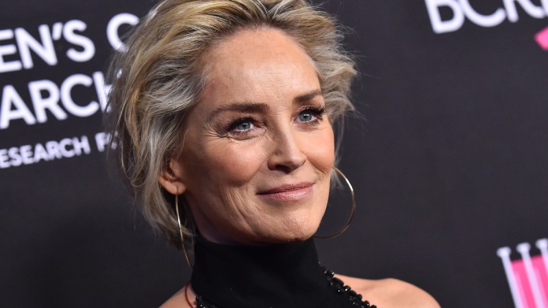 Sharon Stone Shares Pantsless Photo Referencing Her Most Iconic Role