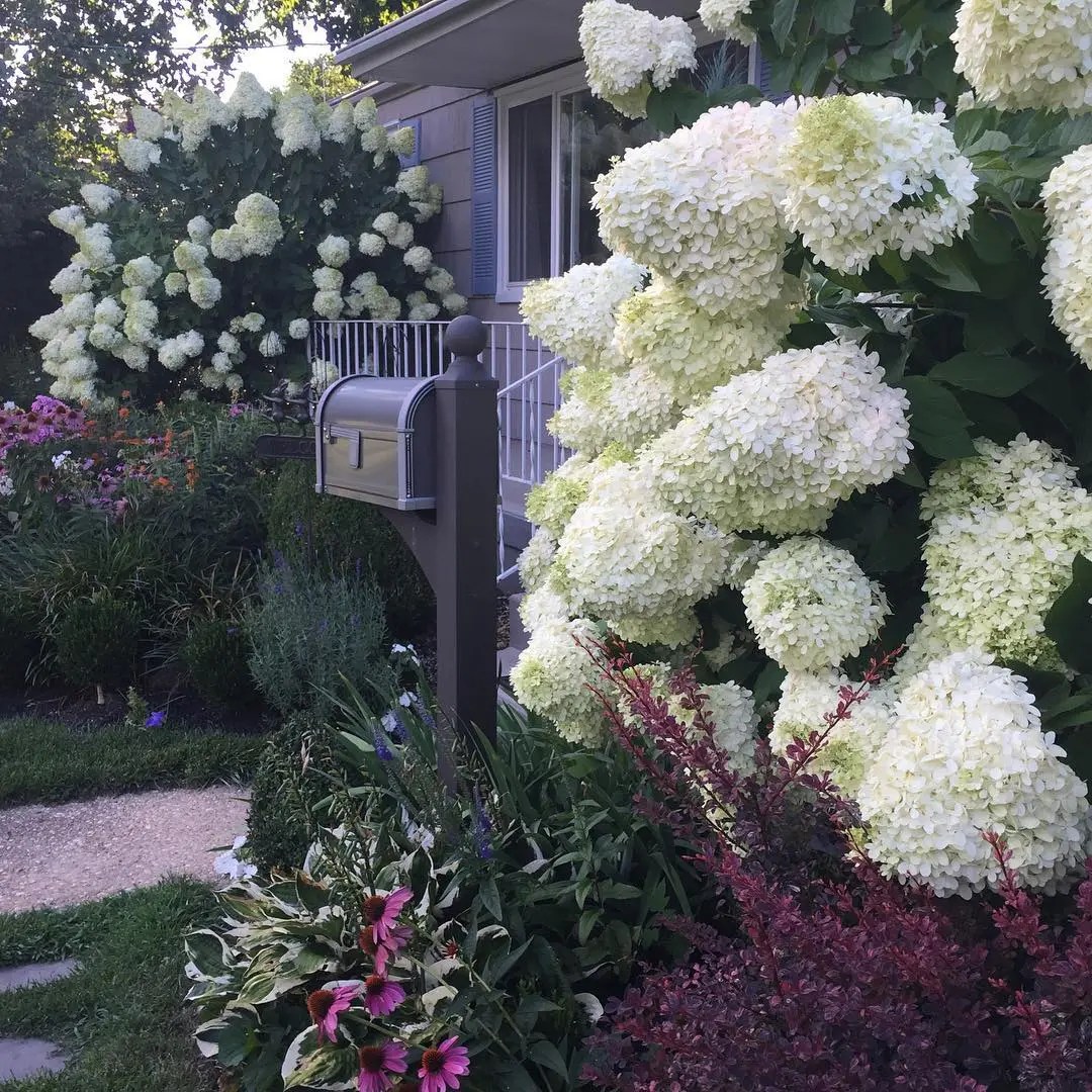 Inside Golden Bachelor Winner Theresa Nist's Humble $568K New Jersey Home