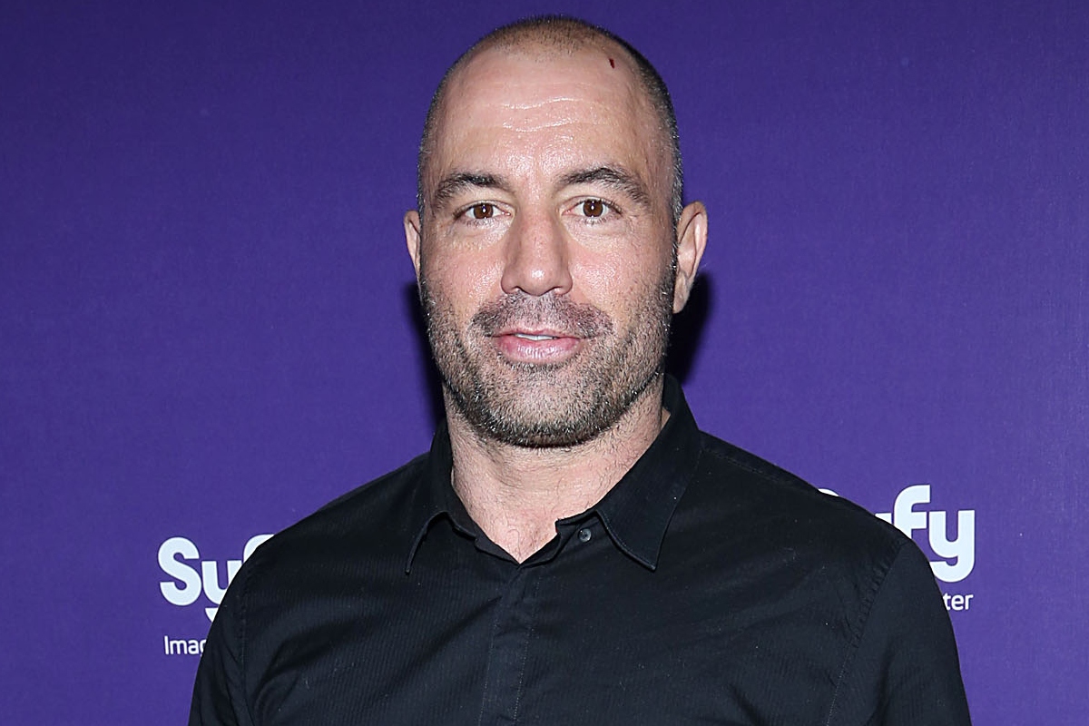 Joe Rogan Thinks Madonna Looks Like She's Wearing a Diaper