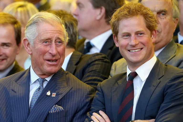 Current Status of Prince Harry and King Charles' Relationship Revealed ...