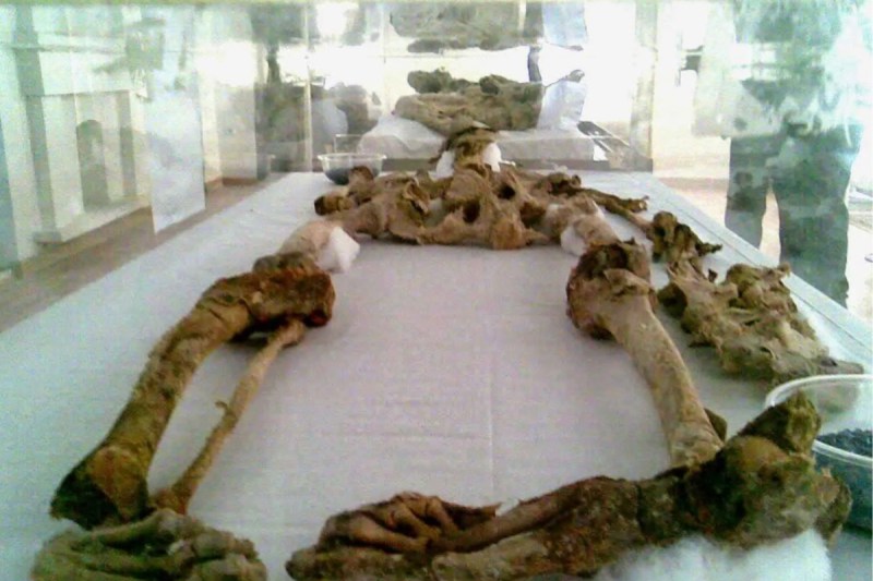 Mummies Dubbed ‘Saltmen’ Seen for First Time in New Photos