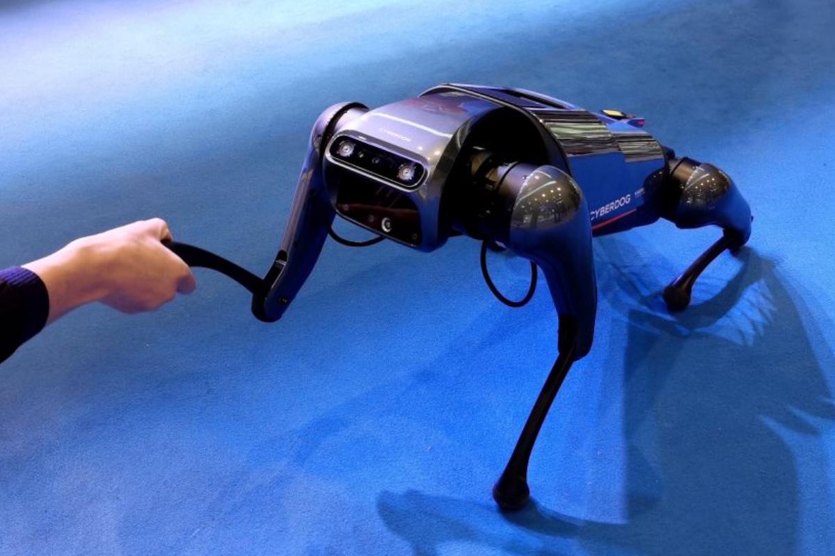 Humanoid Robot Walks Robot Dog at Local Park in Creepy Video
