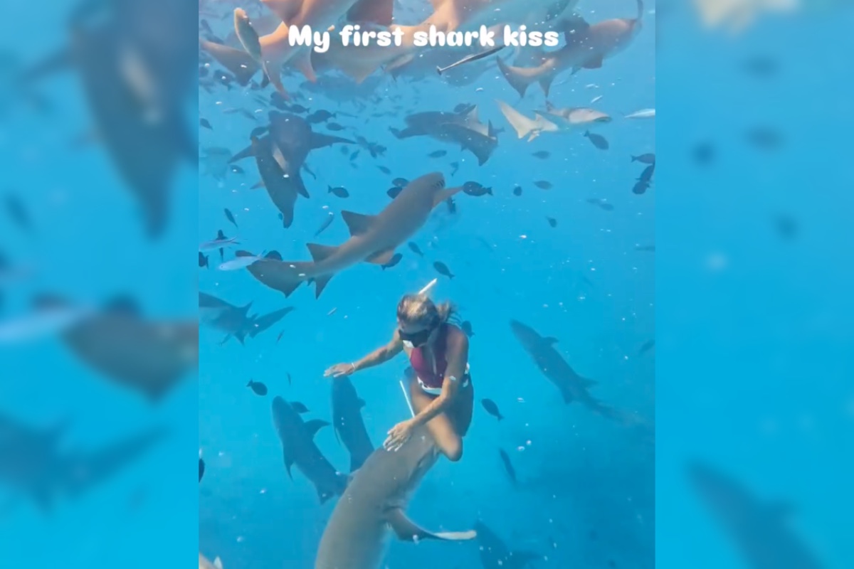Influencer Films Herself Getting Bitten By a Shark: Watch