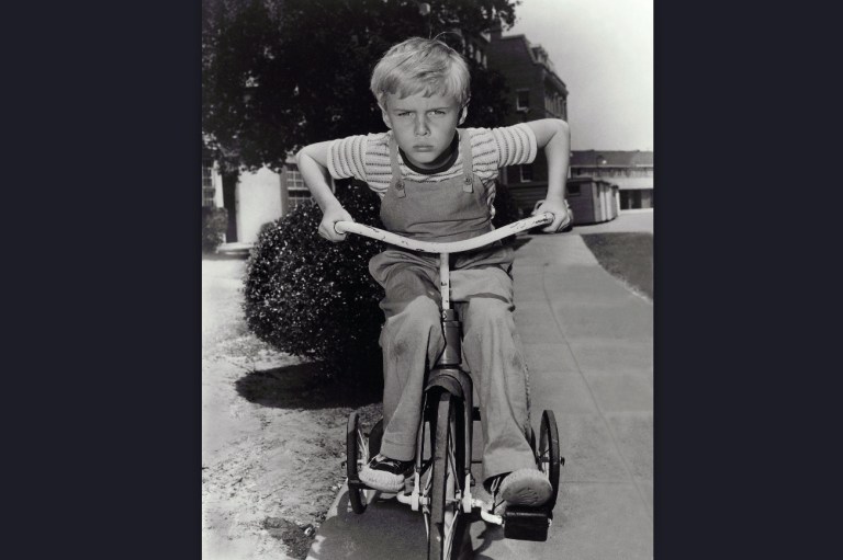 'Dennis the Menace' Star Jay North Dead at 73, Cause of Death Revealed