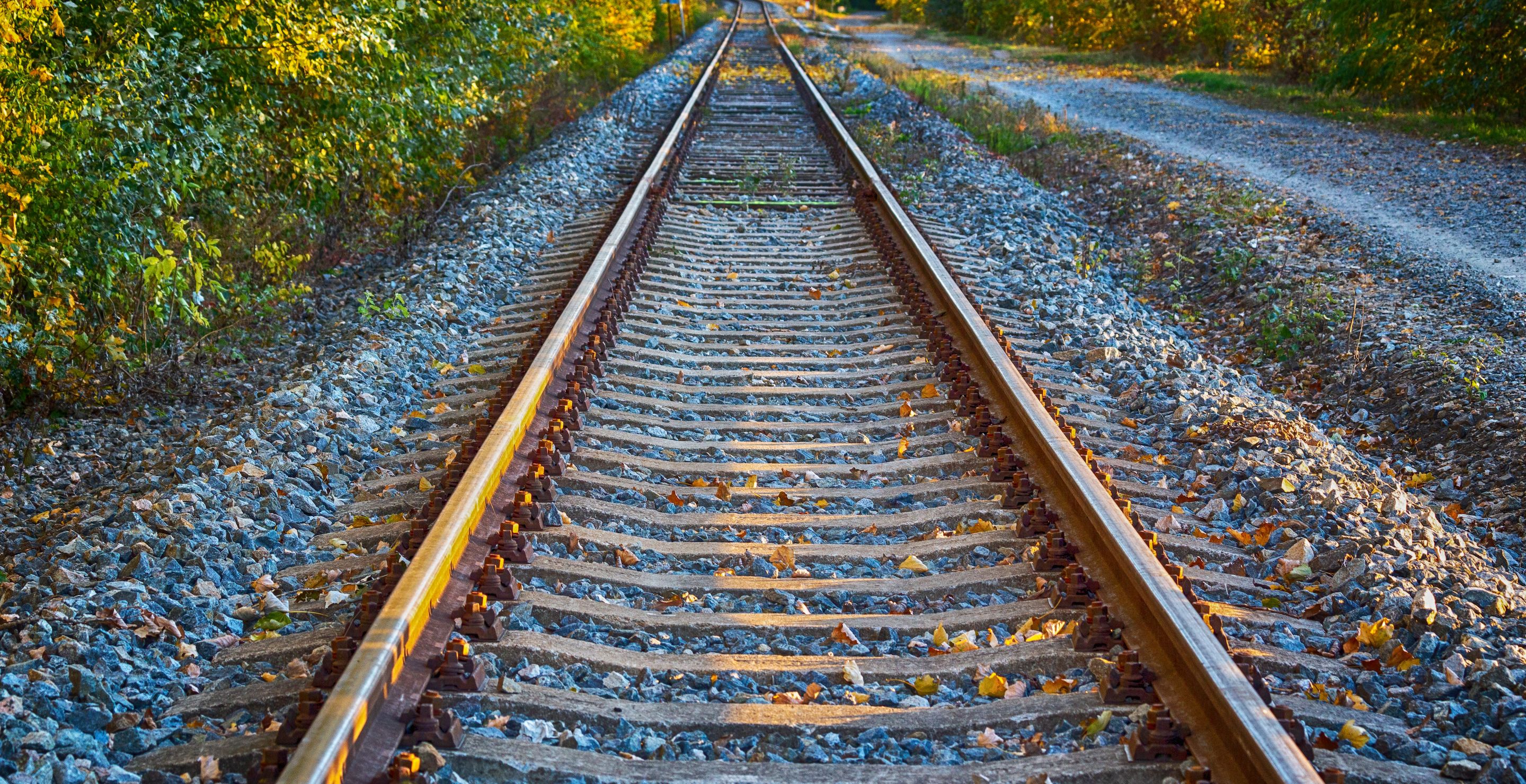 1 Kansas Boy Dead, Another Missing After Train Strikes Them On Railroad ...