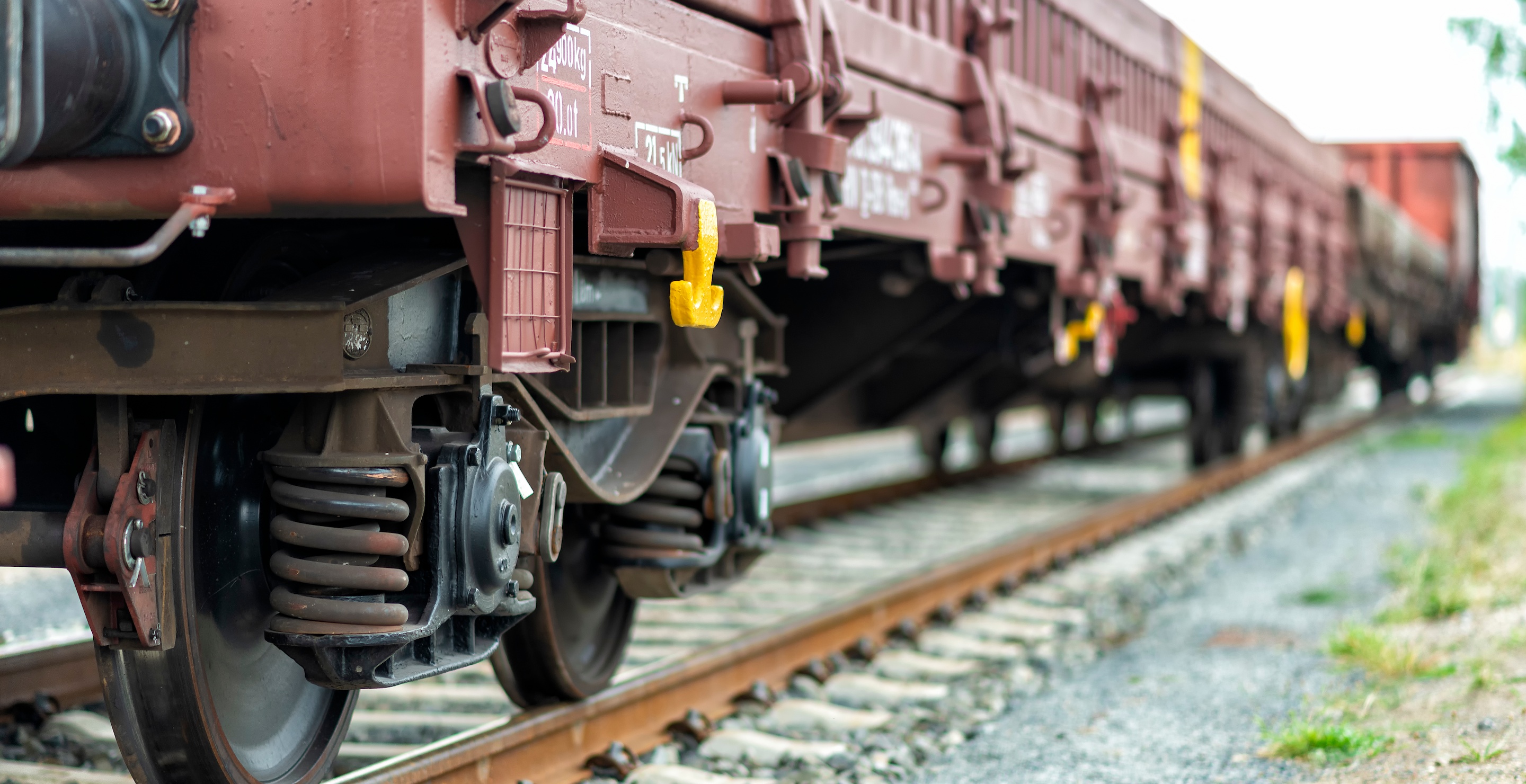 Body Of 12-Year-Old Discovered After Being Killed On Railroad Tracks