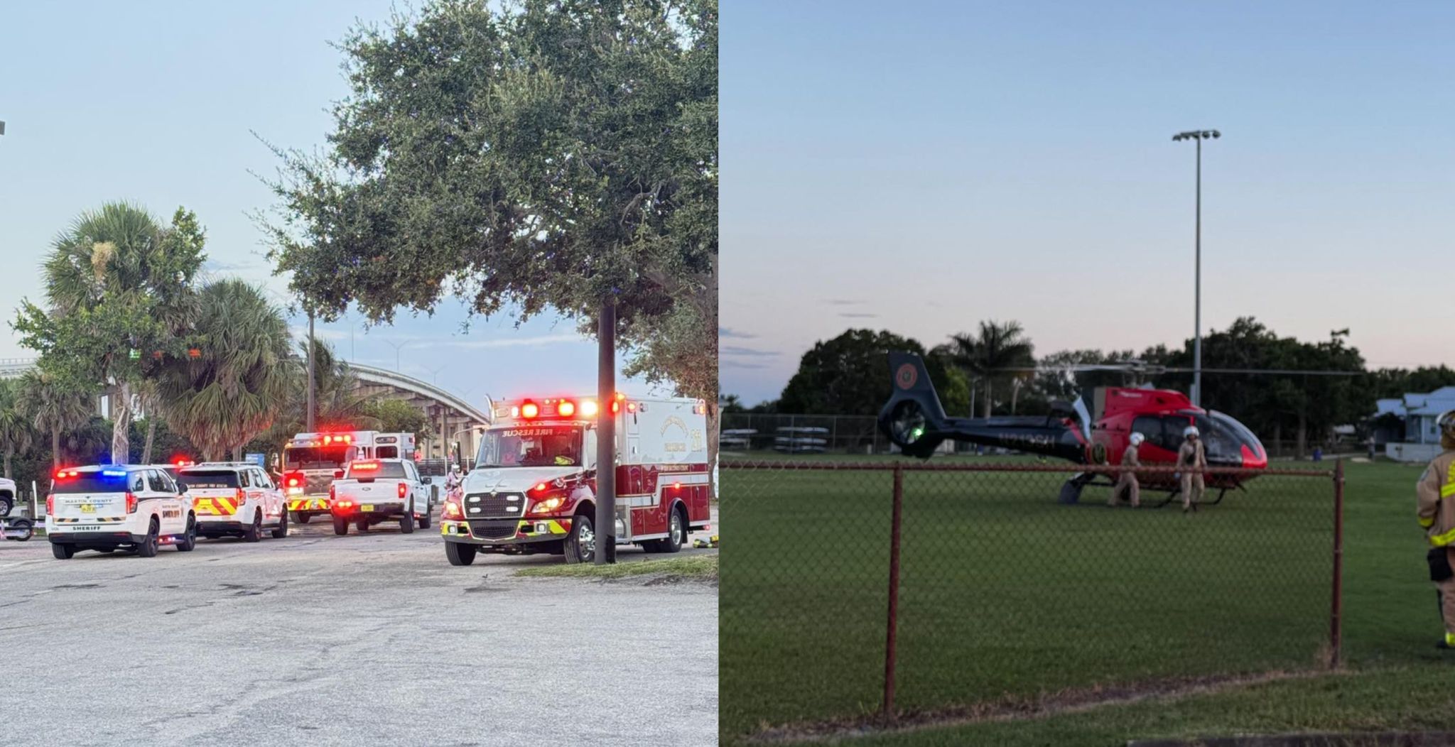 Woman Survives After Alligator Bites Her Hand and Drags Her Underwater
