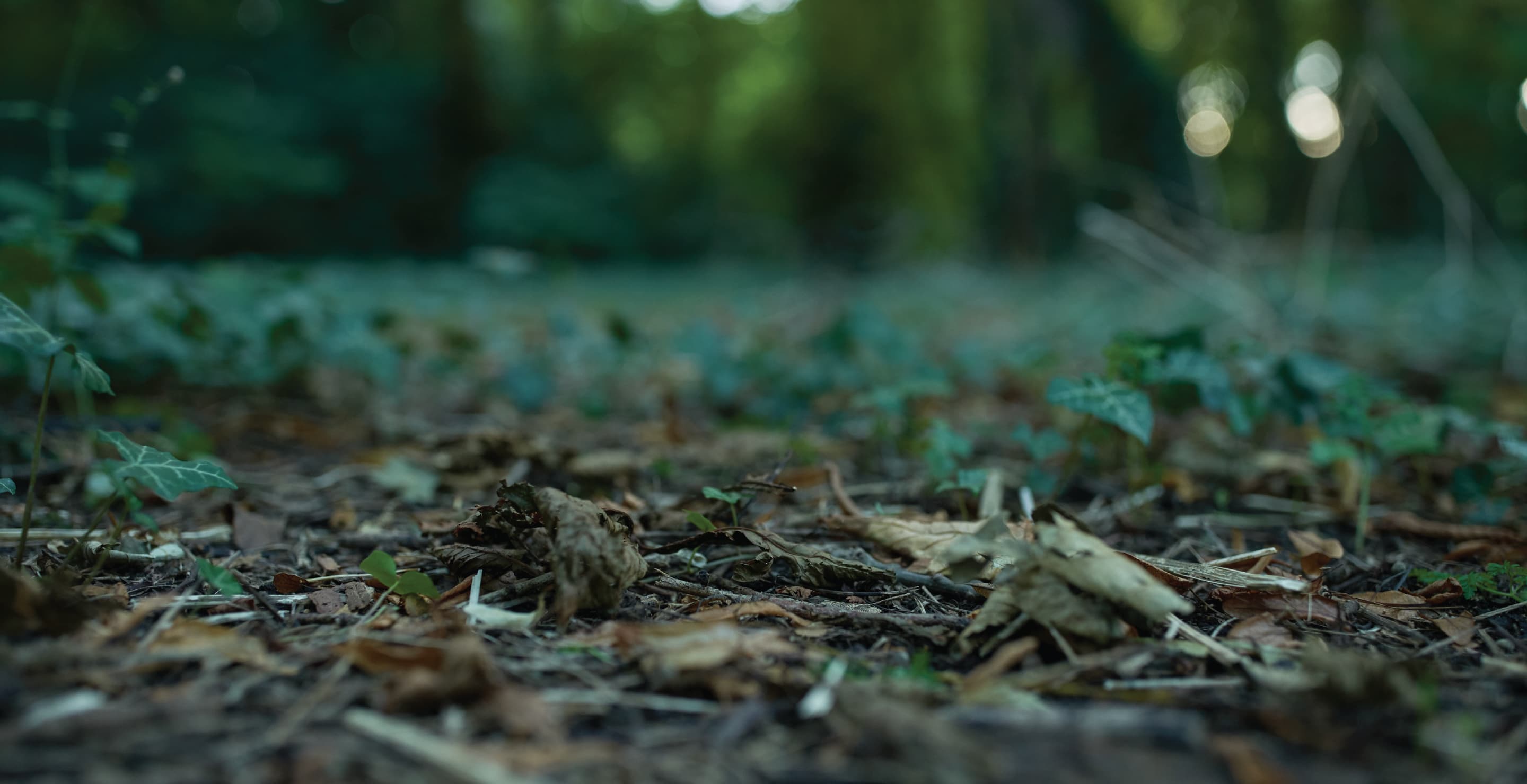 Travis Decker Confirmed Dead Months After Allegedly Killing His 3 Daughters