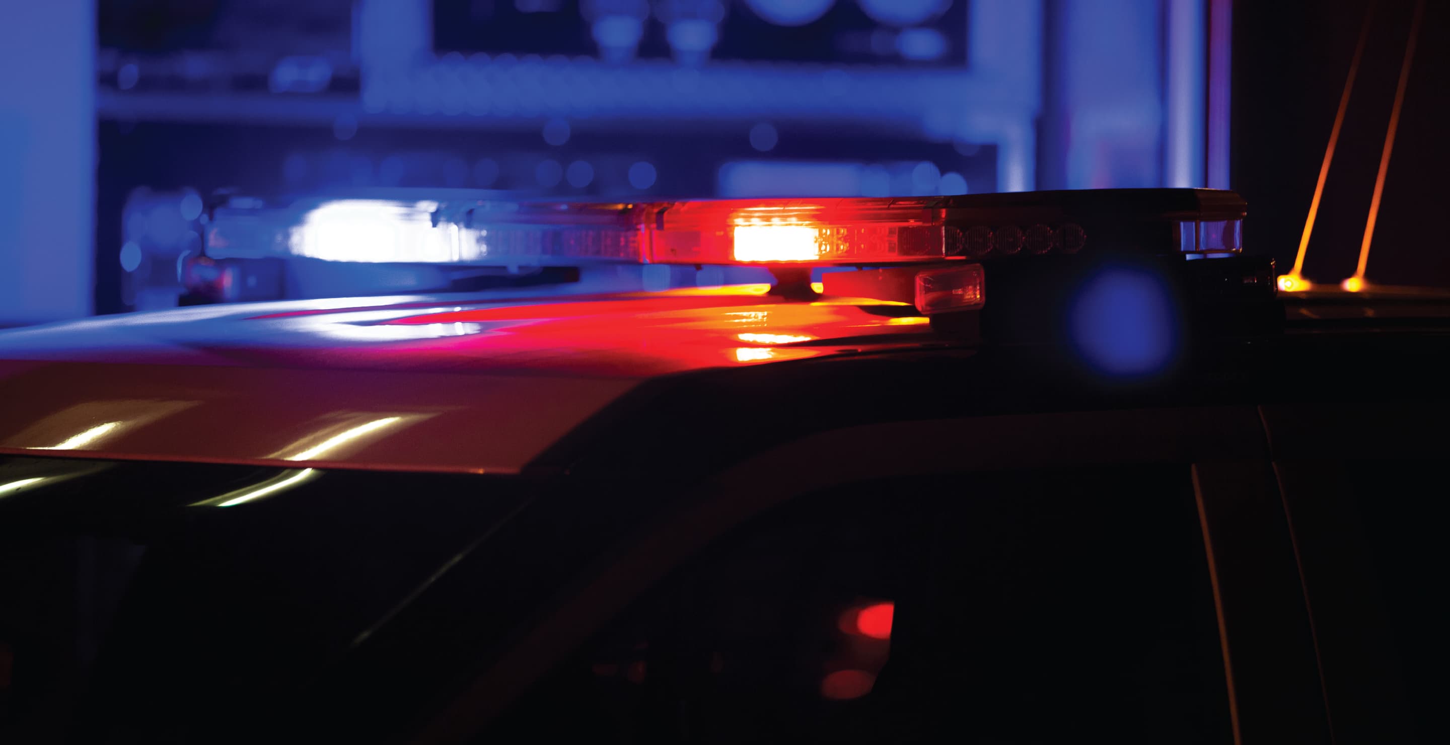 3 Dead Babies Were Found Inside Evicted Woman's Home. A 4th One Has ...