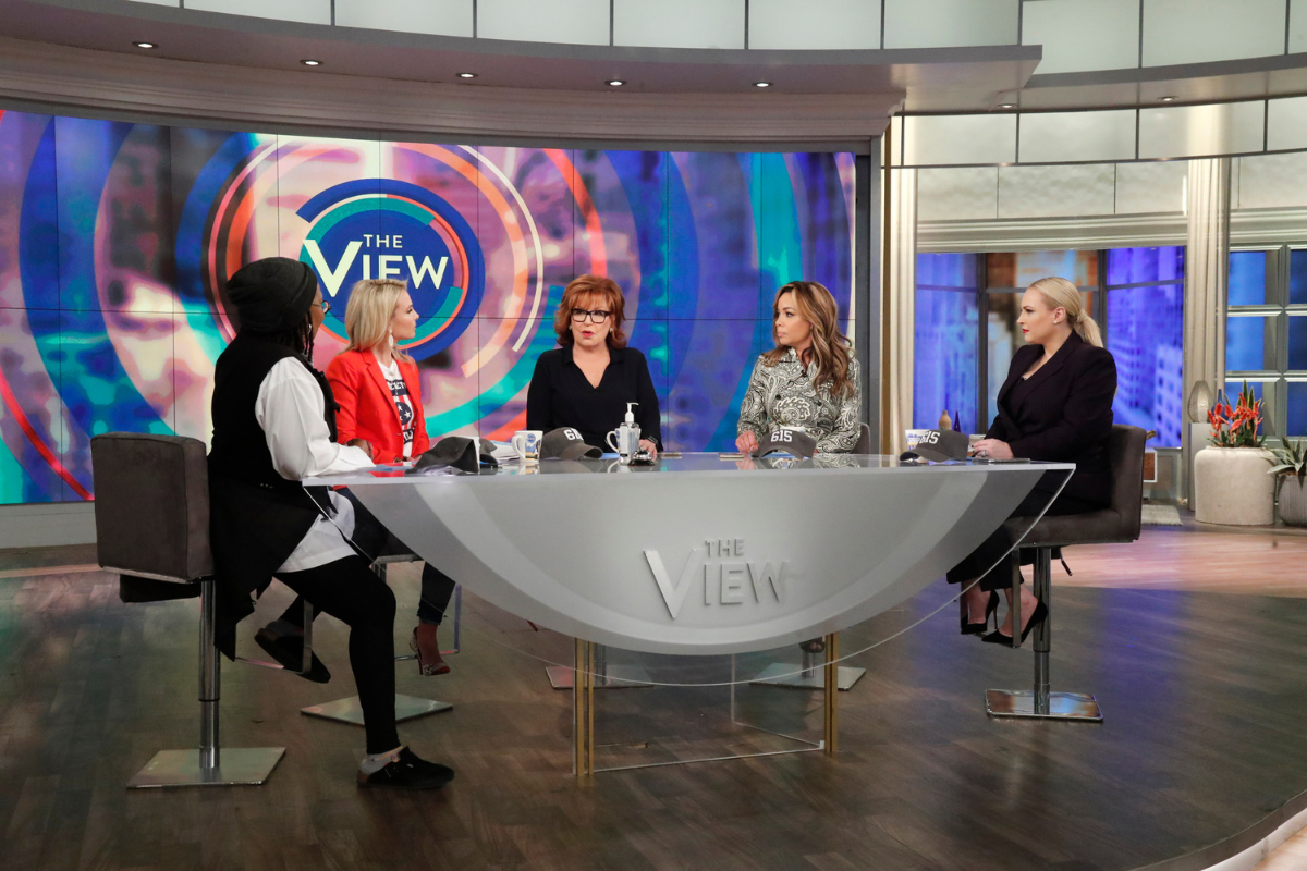 Former ‘The View’ Co-Host Calls Recently Canceled Talk Shows ‘Sublimely ...